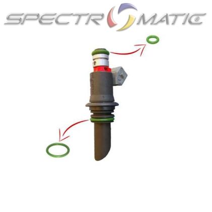 DS1229 Electronic Injection Kit